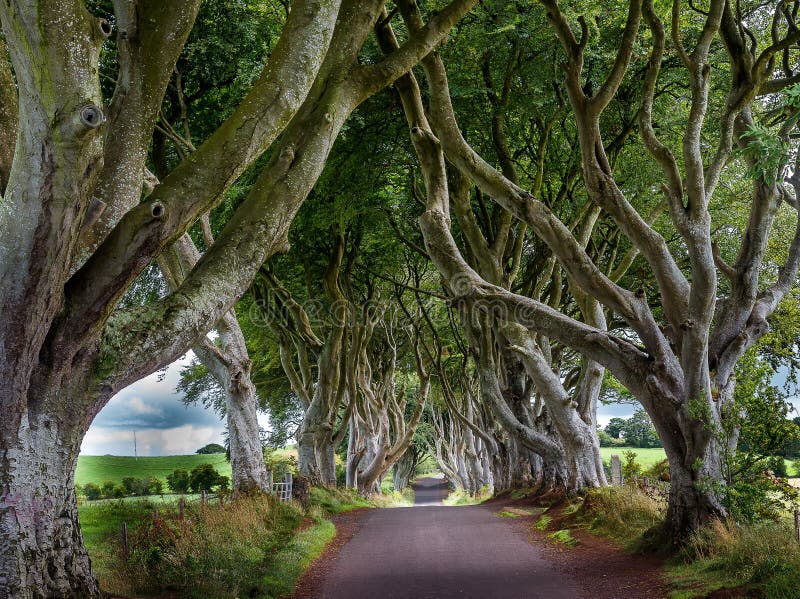 Horizontal Shot of a Small Empty Path Going through a Beautiful Park ...