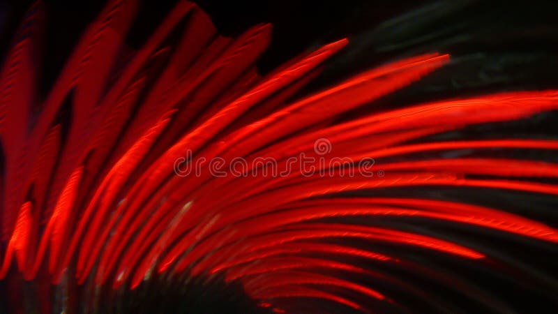 Horizontal Shot of Smooth Red Light Art - Visual Inspiration Stock ...