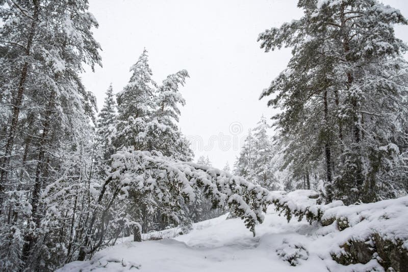 Horizontal Shot Snow Covered Hills Completely Covered in Snow Stock ...