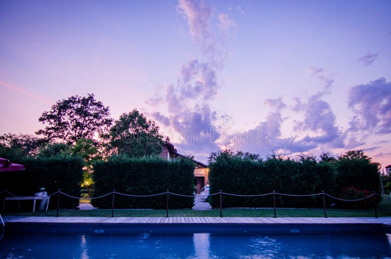 Horizontal Shot of a Swimming Pool with Rectangular Bushes Visible ...