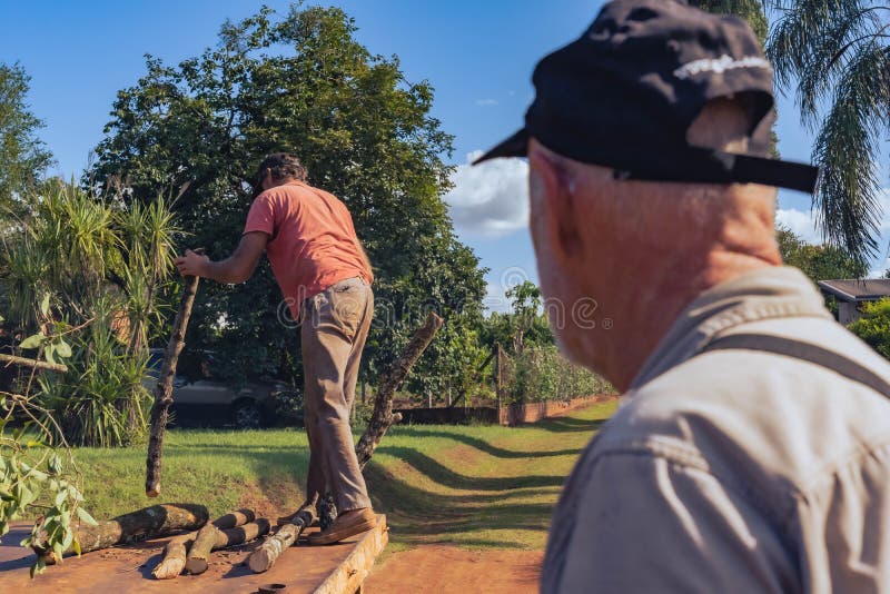 Horizontal Shot of Two Men Pruning, Cutting, and Working in a Park with ...