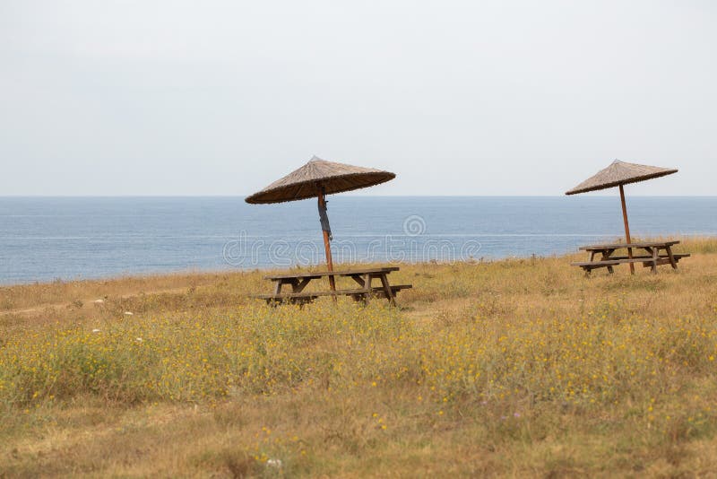 Horizontal Shot of Wooden Benches and Tables on the Beach Stock Image ...