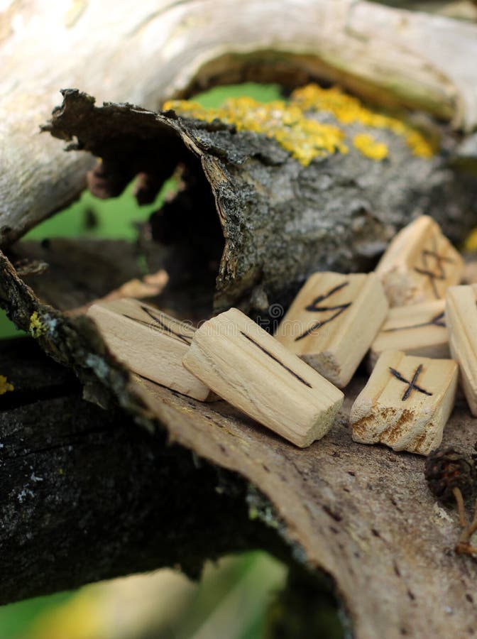 Horizontal. Side View on Wooden Runes, Which Lie on a Dry Bark from a ...