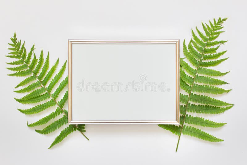 Horizontal A4 Silver Frame with Green Fern Leaves on White Background ...