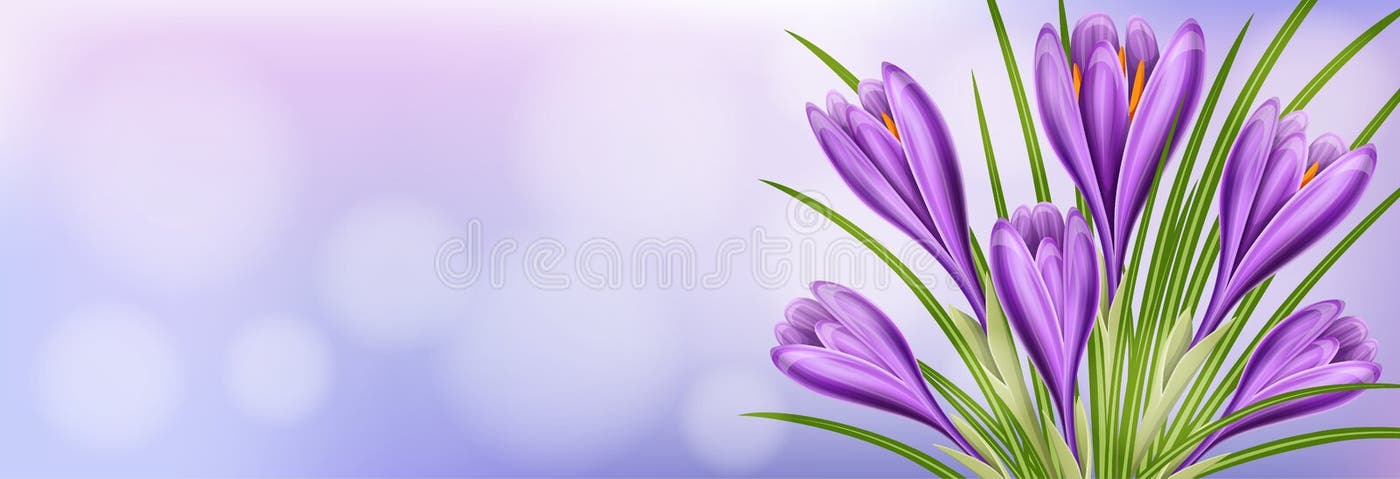 Crocus Stock Illustrations – 21,300 Crocus Stock Illustrations, Vectors ...