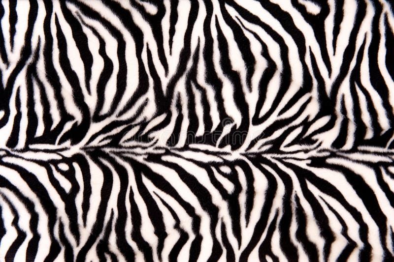 Zebra Strip. Zebra Stripes Pattern Texture Stock Image - Image of ... Zebra Strip. Zebra Stripes Pattern Texture Stock Image - Image of ...