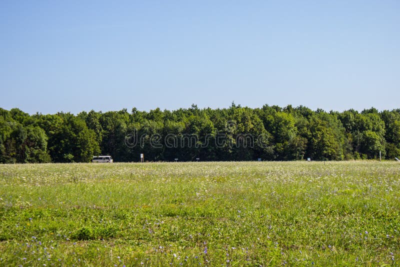 Horizontal Summer Background of Forest and Meadow Stock Image - Image ...