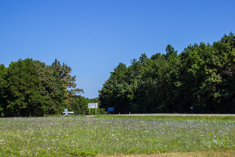 Horizontal Summer Background of Forest and Meadow Stock Photo - Image ...