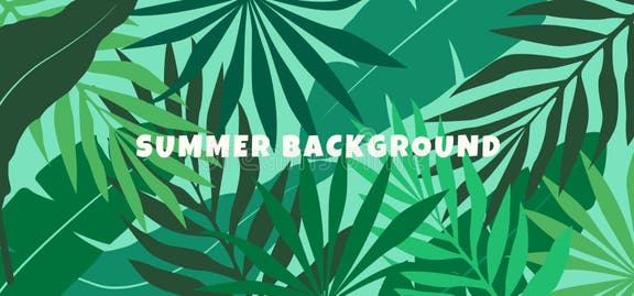 Horizontal Summer Background with Palm Tree Leaves. Vector Illustration ...
