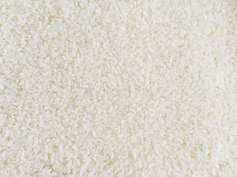 Horizontal Texture of White Round Grain Rice - Background Stock Image ...