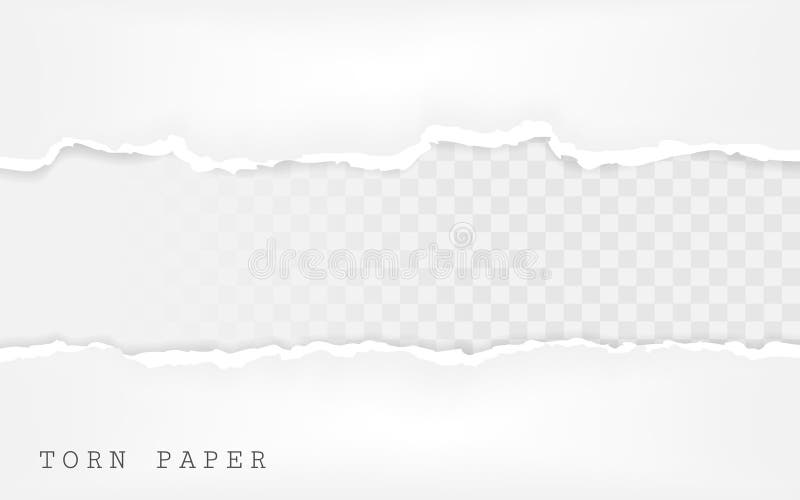 Horizontal Torn Paper Edge. Ripped Squared Horizontal Paper Strips ...
