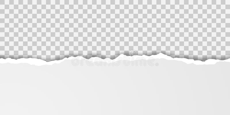 Horizontal Torn Paper Edge. Ripped Squared Horizontal White Paper ...