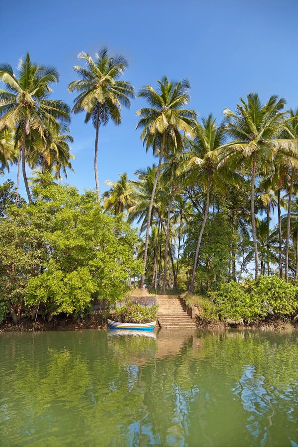 Rivière Et île Tropicales Au Milieu De Son Goa Image stock - Image du ...