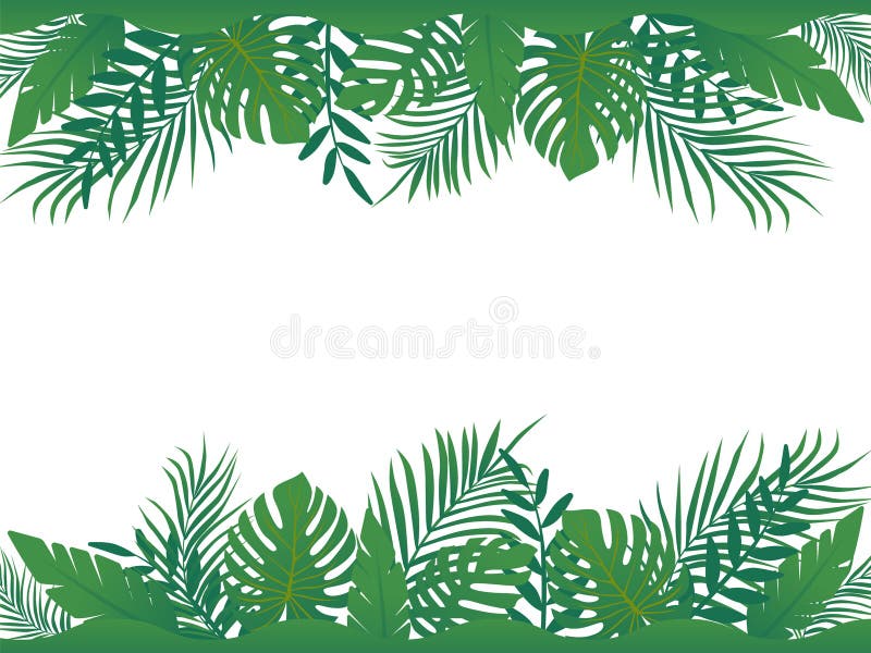 Horizontal Tropical Leaves Border Isolated on White Background. Top and ...