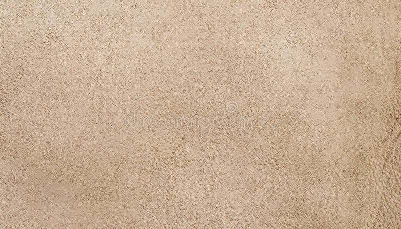 Horizontal or Vertical Backdrop with Suede Texture of Ivory Color ...