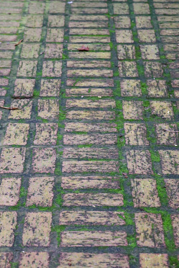 930 Texture Walkway Red Bricks Stock Photos - Free & Royalty-Free Stock ...