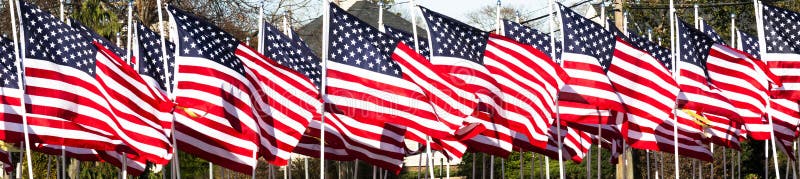 Horizontal View of American Flags Stock Image - Image of national ...