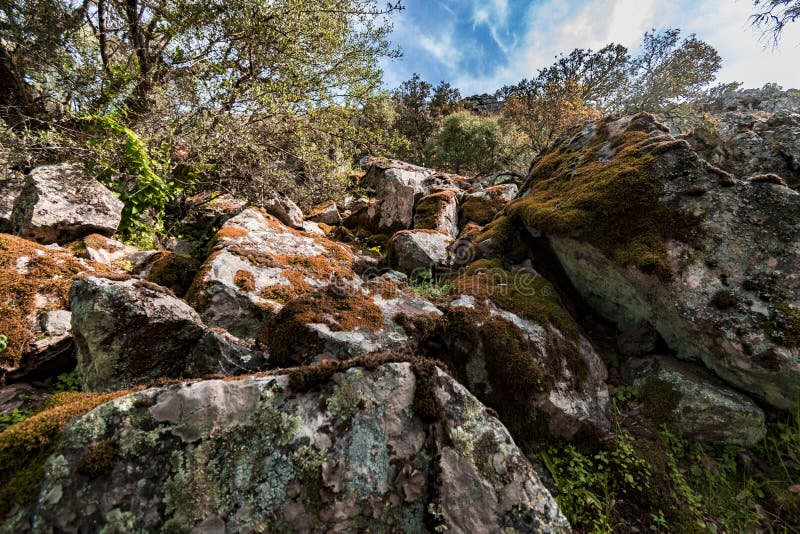 Horizontal View of Big Rocks Covered with Orange and Brown Moss ...