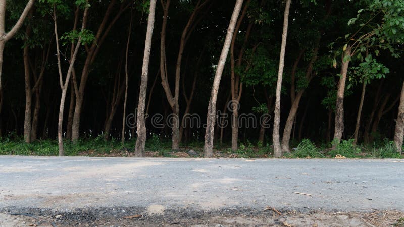 Horizontal View of Dirty Asphalt Road in Thailand. Stock Photo - Image ...