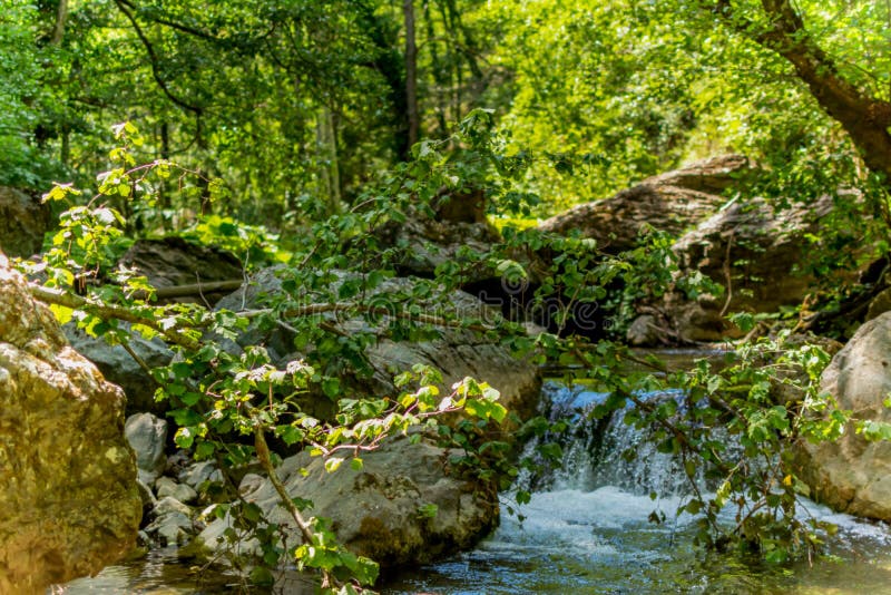 Cascade in the forest stock image. Image of trees, water - 303423