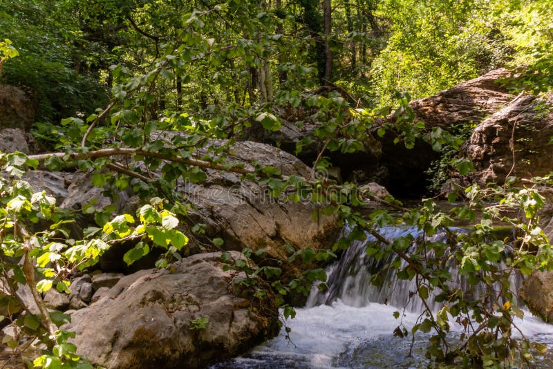 Cascade in the forest stock image. Image of trees, water - 303423