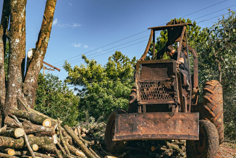 Horizontal View of a Man Driving an Old Tractor Around Some Freshly Cut ...