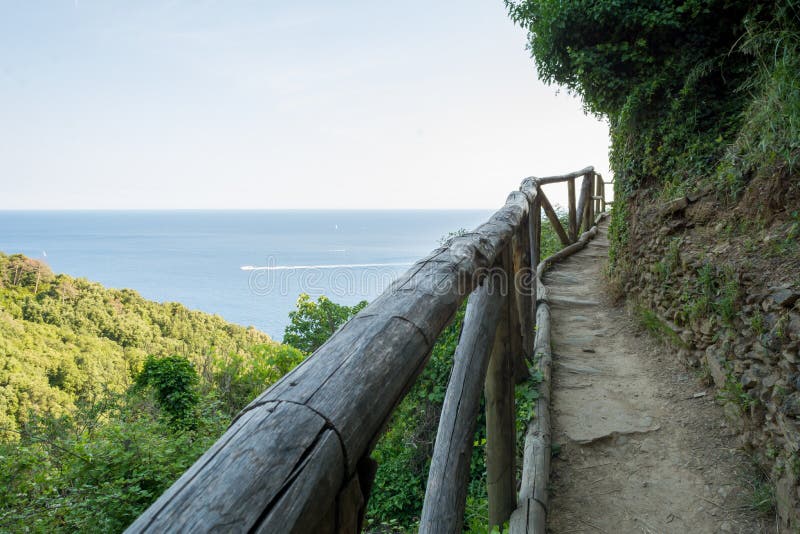 Horizontal View of the Path in the Forest in the Mountains F Stock ...