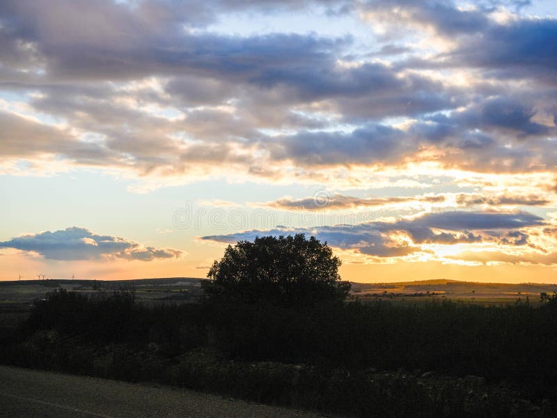 Horizontal View of a Sunset with the Silhouette of a Tree Stock Photo ...