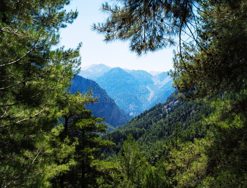 Horizontal Vivid Dramatic Mountains View Landscape Trees Stock Photo ...