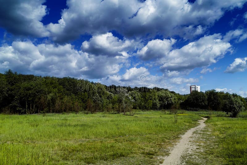 Home Composition with Protea Flower in the Interior of the Room. Stock ...