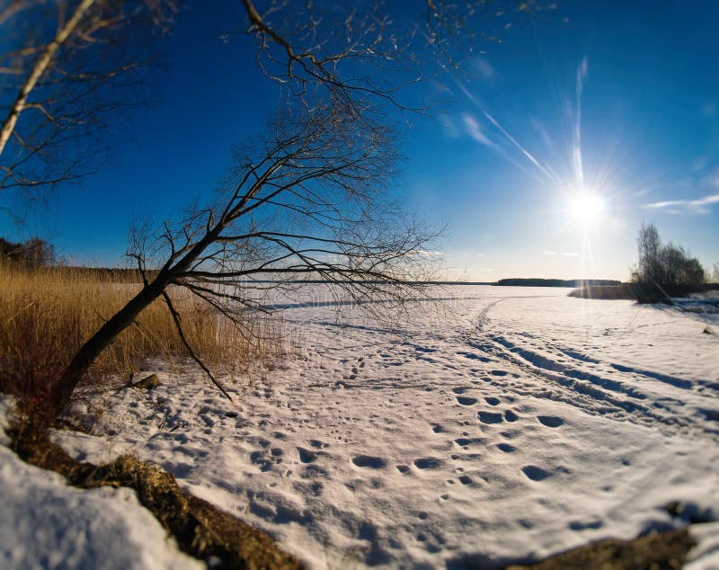 Horizontal Vivid Winter Landscape with Sun Rays and Footprints Stock ...