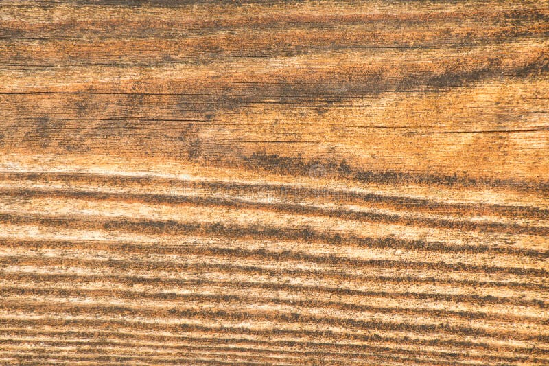 Horizontal wood texture stock photo. Image of grunge - 170115454
