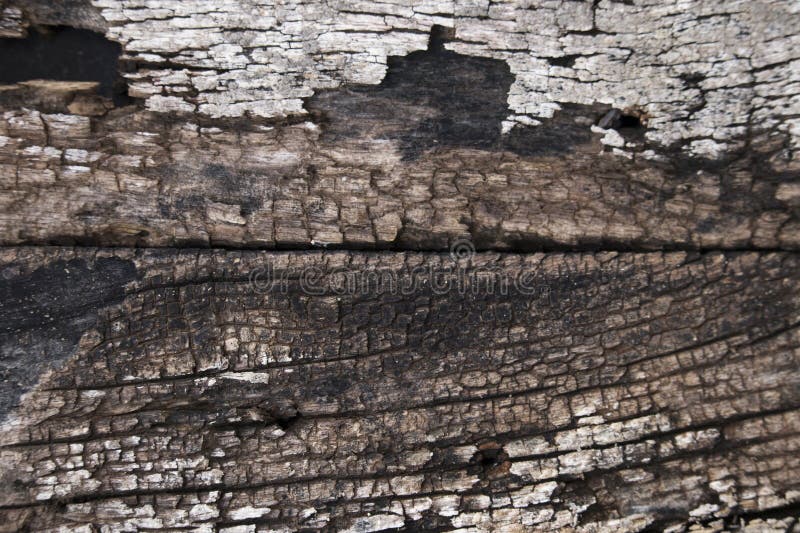 The Horizontal Wooden Burned Texture and Pattern and Design Stock Image ...