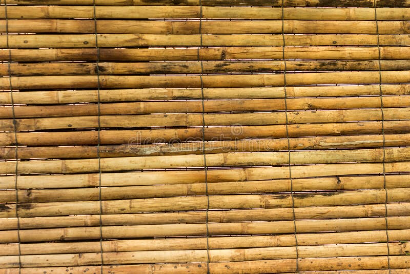 Horizontal Yellow Bamboo for Background Texture Stock Image - Image of ...