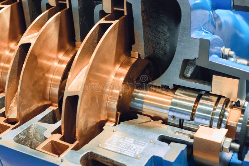 Dwarsdoorsnede Van De Schroefpomp U Kunt De Interne Structuur Van De ...