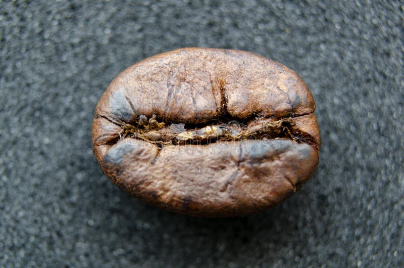 Beanline Logo Stock Photos - Free & Royalty-Free Stock Photos from ...