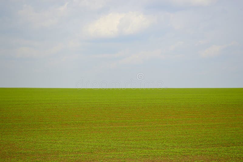 Horizonte De Un Campo Y De Un Cielo Hermosos Foto de archivo - Imagen ...