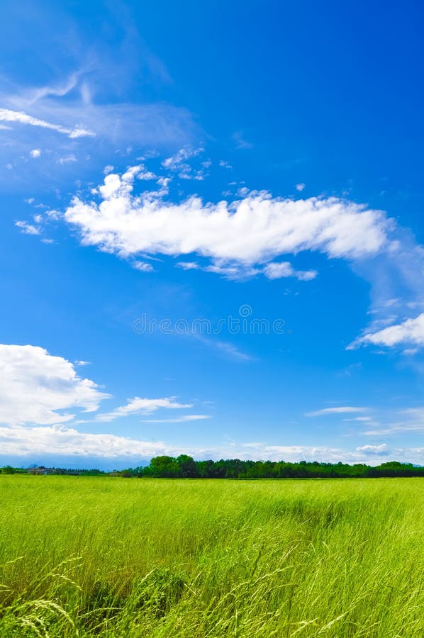 Horizonte Verde Del Prado Y Cielo Azul Foto de archivo - Imagen de ...