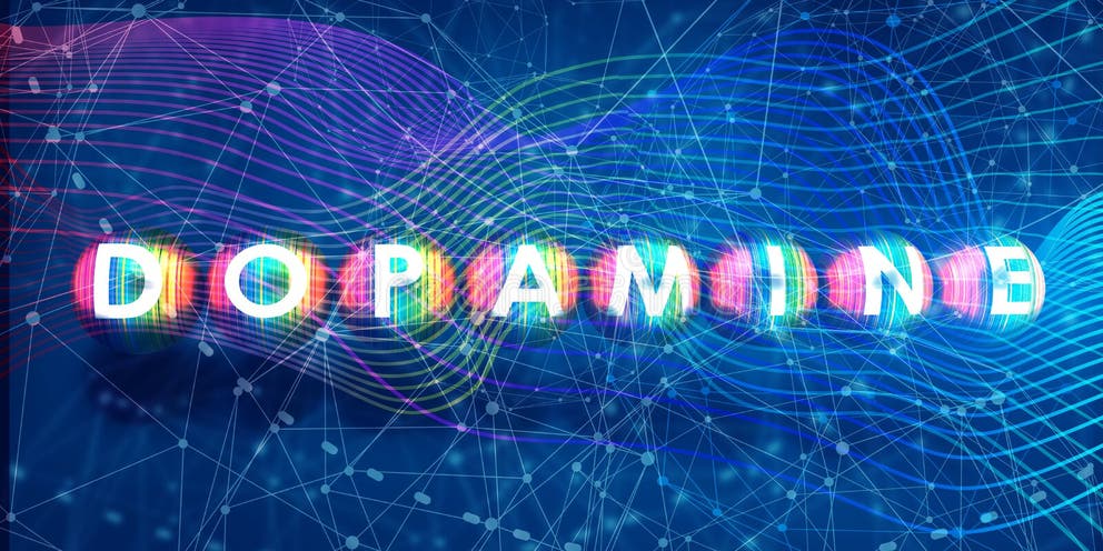 Dopamine Text Stock Illustrations – 137 Dopamine Text Stock ...