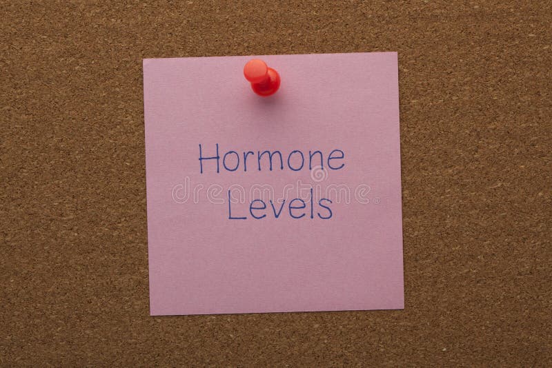 Hormone Levels Concept stock photo. Image of endocrine - 182189940