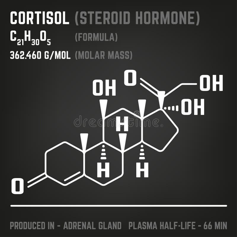 Cortisol Chemical Structural Formula And Model Of Hormone Molecule