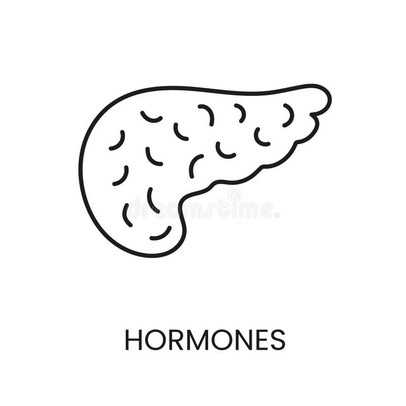 Hormones, Human Organ Pancreas Line Vector Icon with Editable Stroke ...