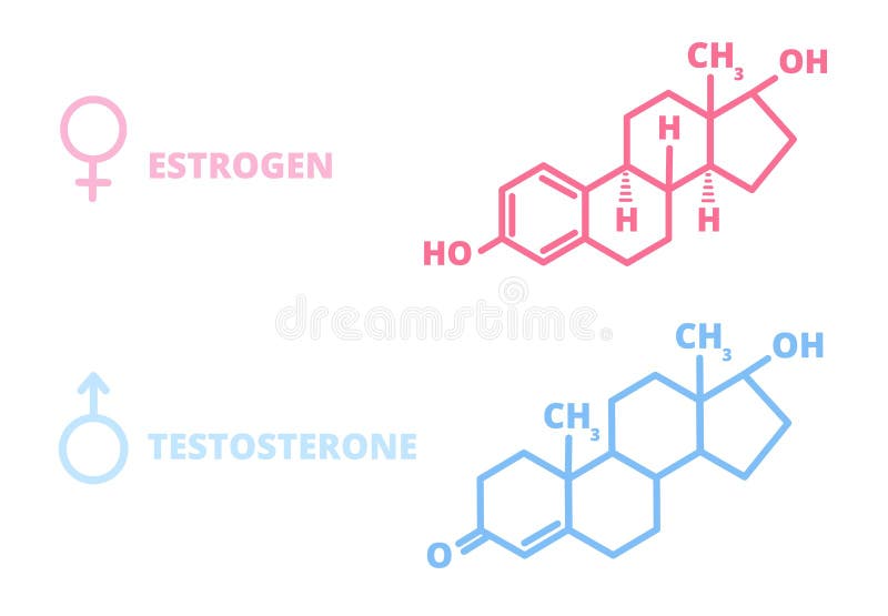 Hormones Sexuelles Structure Chimique De Testostérone Doestrogène D
