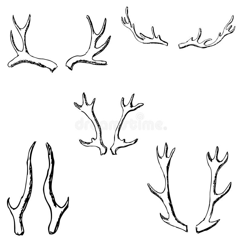 Horn Sketch of a Deer. Pencil Drawing by Hand. Vintage Colors Stock ...