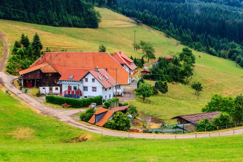 Scharzwalder Stock Photos - Free & Royalty-Free Stock Photos from ...