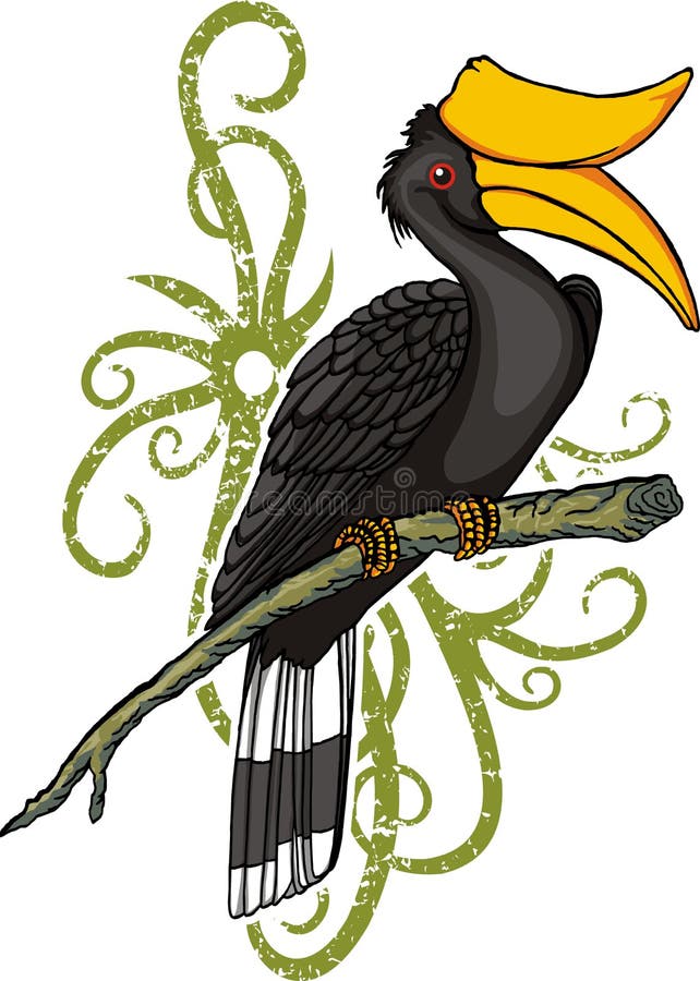 Hornbill cartoon stock vector. Illustration of standing - 5061816