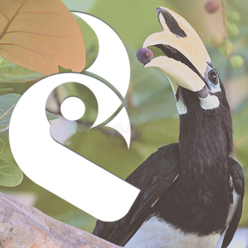 Hornbill Mascot Esport Logo Design Stock Vector - Illustration of ...