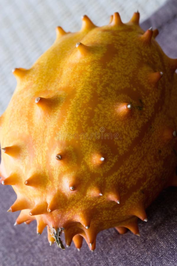 Horned Melon or Cucumis Metuliferus Annual Vine Plant with Fresh Green ...