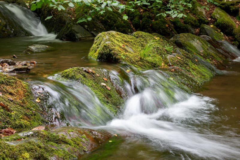 Horner woods in Somerset stock image. Image of rocky - 259302773