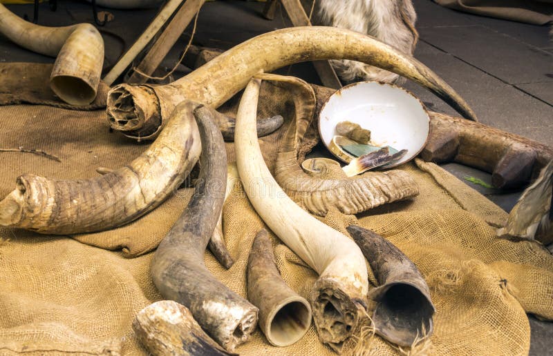 Horns to drink stock image. Image of objects, empty - 129141071